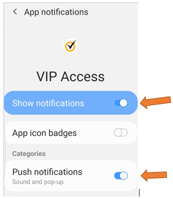 VIP Push Notification | Academic IT Security